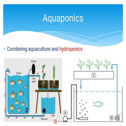 Lec 7 b 2023.pdf and have region in the vet | PPT