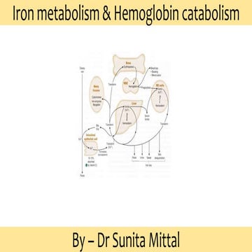 lec_7_hematology_iron_metabolism.pptx