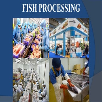 Lec 8 fish processing FISHe Smoking.pptx