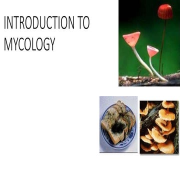 Lec 9. Intro myco1.pptx