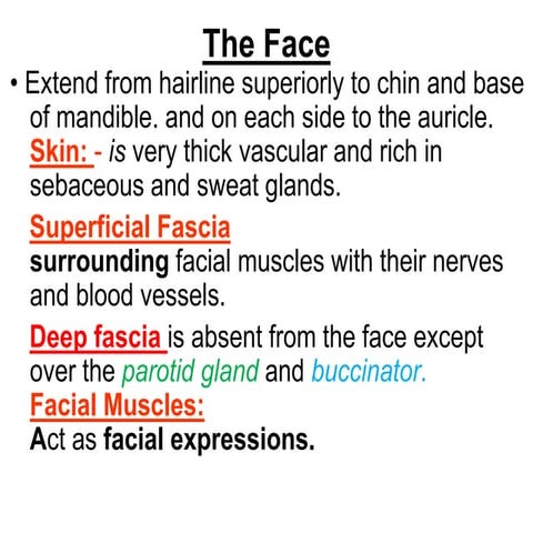 Lec 9 Superficial Structures of Head & Neck scalp - Copy.ppt