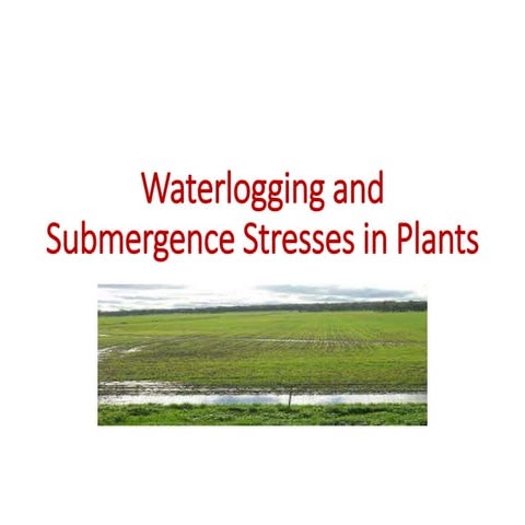 Waterlogging and Submergence stresses in plants | PPTX