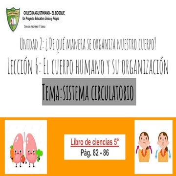 Lección 6 sistema circulatorio (1) | PPTX
