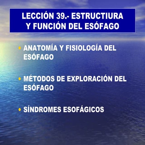 Leccinn 39. Estructura Y Funcion Del Esofago | PPT