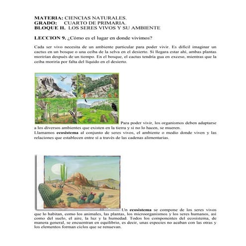 Los seres vivos y su ambiente | PDF