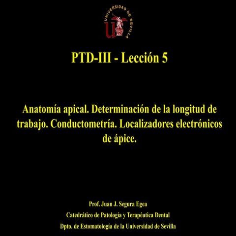Anatomia apical. Longitud de trabajo endodoncia | PDF