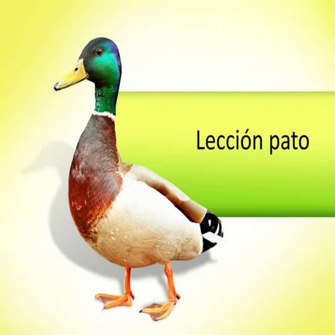 Leccion pato 1 | PPTX