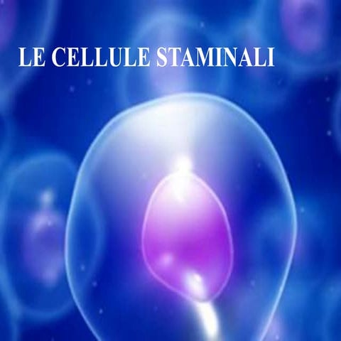 Le cellule staminali | PPTX