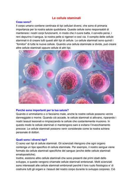 Le cellule staminali contenute nel sangue cordonale | PDF ...