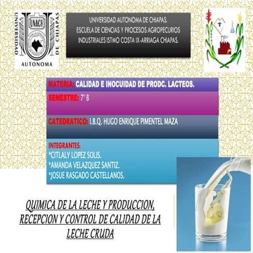 10-Bromatología Aplicada - Leche y derivados.pdf