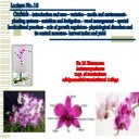 Orchids cultivation -descriptions of genera and species | PDF