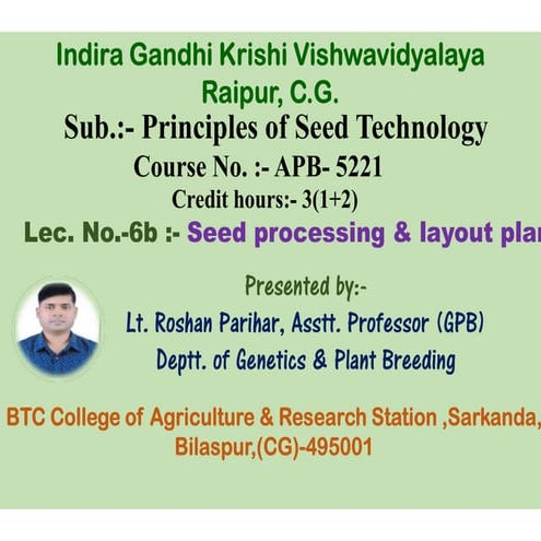 Seed processing and layout plan | PDF
