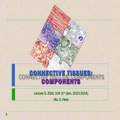 Lect. 5 connective tissue components | PPT