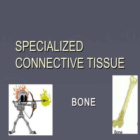 Lect. 7 specialized ct - bone | PPT