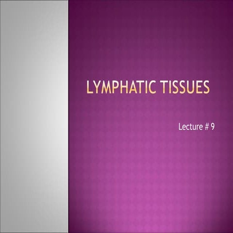 Lect. 11 lymphatic tissues | PPT