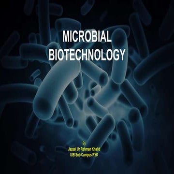 Lect-1 Microbial Biotechnology.pptx | Free Download