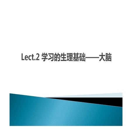 Lect.2 学习的生理基础——大脑 | PPT