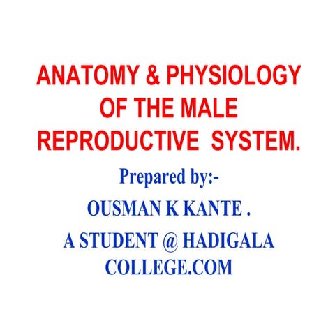 LECT. 13 MALE REPRODUCTIVE SYSTEM.ppt | Sexual Conditions | Sexual Health