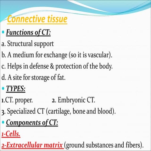Lect.3.Connective tissue.ppt for the bams | PPT