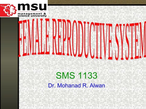 HISTOLOGY OF THE UTERUS FOR MBBS 2ND YEAR REPRODUCTION MODULE | PPTX ...