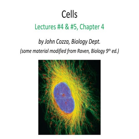 Lect 4-&-5 cells-bsc-1010_f13_jc | PPT