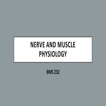 Nerve muscle physiology | PPTX
