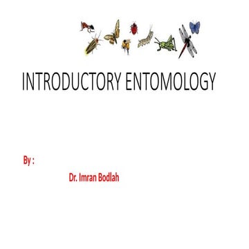 Lect 11 Insect orders-6-15-1.......... pptx | PPTX