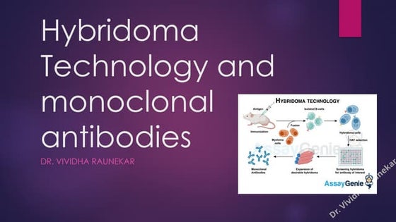 Hybridoma Technology ( Production , Purification , and Application ) | PPT