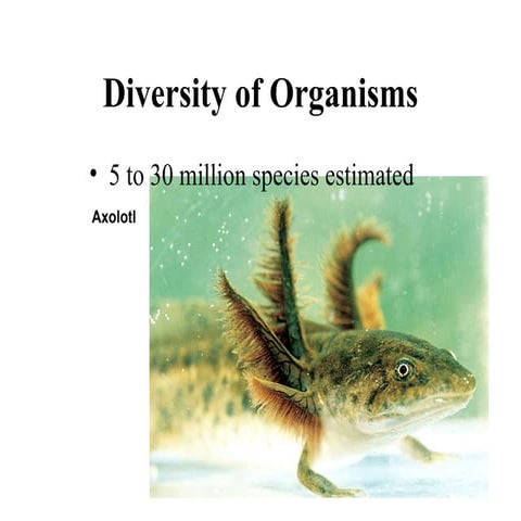 Diversity of Organisms and classification | PPT