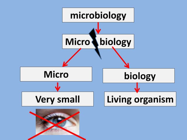 Lect1 Introductionpptx Microbiology Ppt Ppt 7732