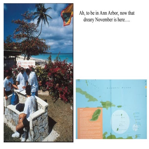 LECTURE 24 -25 Bayes' Theorem . p p t. | PPT