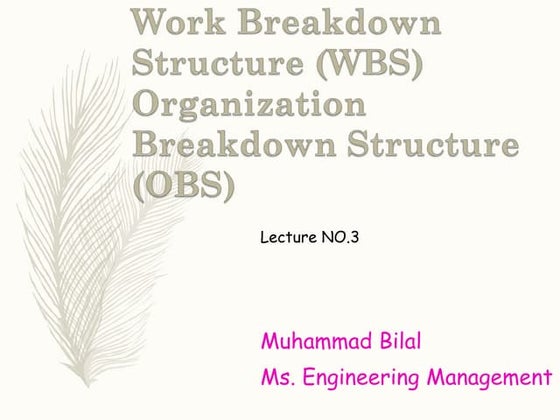 WBS and OBS | PDF