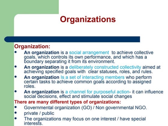 Social organization.pptx