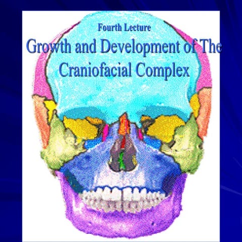 Growth and Development of Craniofacial Complex II | PDF