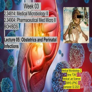 Lect 5 Obstetrics and Perinatal Infections.pptx
