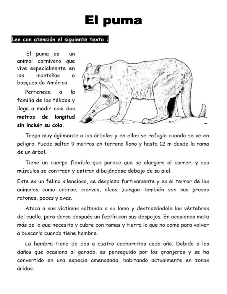 Lectura el puma