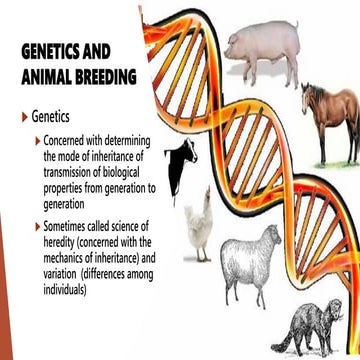 Lecture-10-11-Animal-Breeding-and-Slaughtering-and-Marketing-of-Animal ...