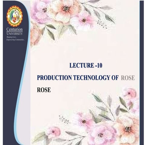 LECTURE-10-1(shorts huuhbjijh1) (1).pptx