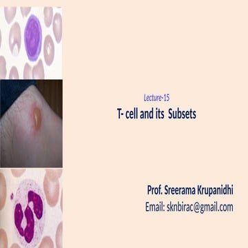 Lecture-15 T (Thymic) cell subtypes.ppt