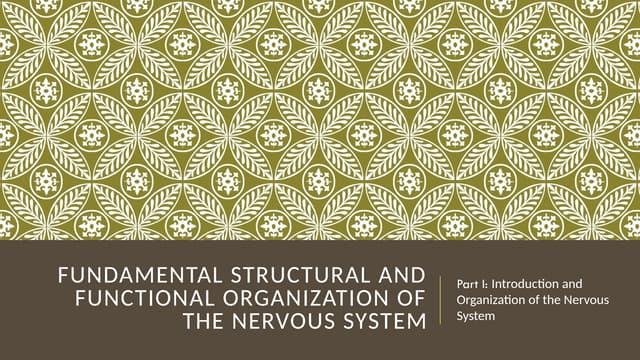 Organization of the nervous system | PPTX
