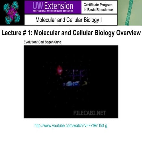Lecture 1 basic molecular biology | PPT