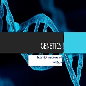 Lecture2-Chromosomes-Mitosis-and-Meiosis | PDF