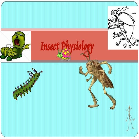 Metamorphosis in Insects | PDF