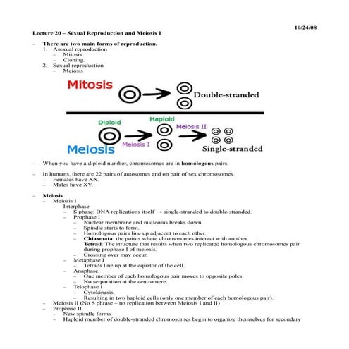 Neurospora Tetrad Analysis.pptx