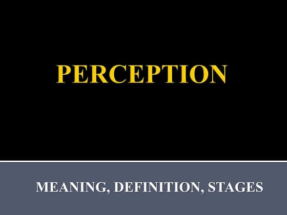 Perception | PPT