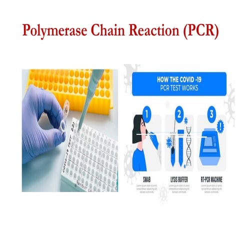 Lecture on PCR and how it works, PCR.PPTX