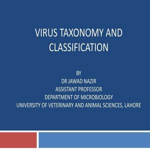virus taxonomy and classification | PDF