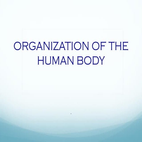 Lecture-4. Organization of the human body | PPT