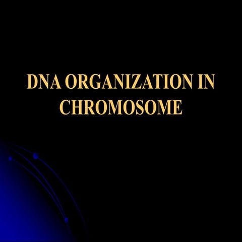 Gene And Chromosomes | PPT