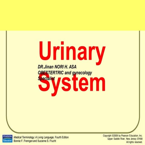 Lecture 4 Urinary System 1 Pdf